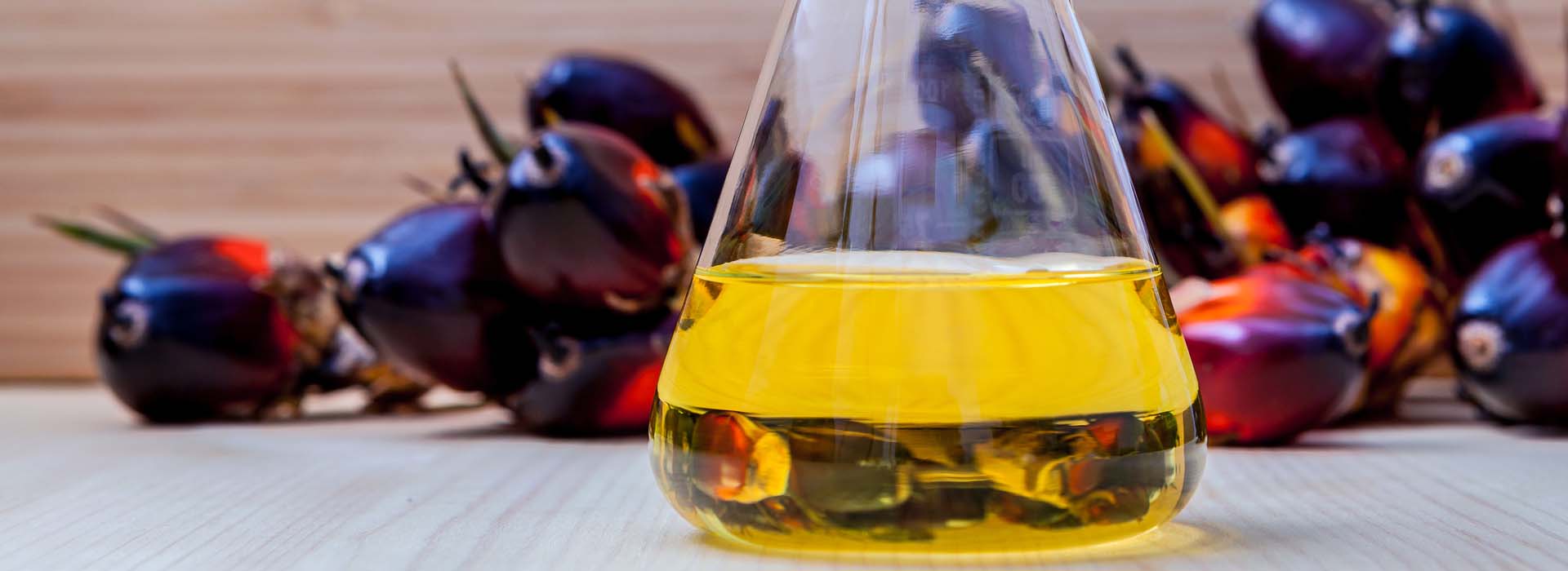 Home - CSIR-Oil Palm Research Institute